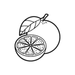 32+ Tasty Orange Drawing Ideas for Beginners - Artist Been