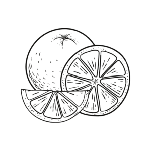 32+ Tasty Orange Drawing Ideas for Beginners - Artist Been