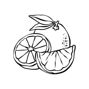 32+ Tasty Orange Drawing Ideas for Beginners - Artist Been