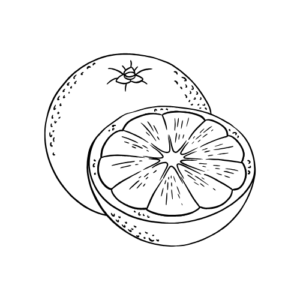 32+ Tasty Orange Drawing Ideas for Beginners - Artist Been
