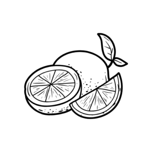 32+ Tasty Orange Drawing Ideas for Beginners - Artist Been