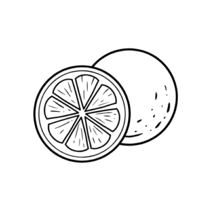 32+ Tasty Orange Drawing Ideas for Beginners - Artist Been