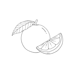 32+ Tasty Orange Drawing Ideas for Beginners - Artist Been