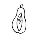 33+ Healthy Papaya Drawing Ideas for Beginners - Artist Been