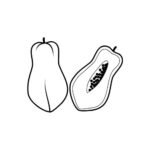 33+ Healthy Papaya Drawing Ideas for Beginners - Artist Been