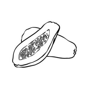 33+ Healthy Papaya Drawing Ideas for Beginners - Artist Been