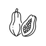 33+ Healthy Papaya Drawing Ideas for Beginners - Artist Been