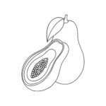 33+ Healthy Papaya Drawing Ideas for Beginners - Artist Been