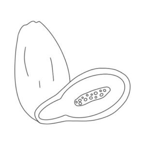 33+ Healthy Papaya Drawing Ideas for Beginners - Artist Been