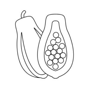 33+ Healthy Papaya Drawing Ideas for Beginners - Artist Been
