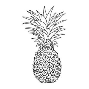 32+ Pure Pineapple Drawing Ideas for Beginners - Artist Been
