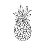 32+ Pure Pineapple Drawing Ideas for Beginners - Artist Been