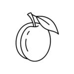 33+ Pure Plum Drawing Ideas for Beginners - Artist Been
