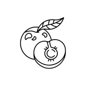 33+ Pure Plum Drawing Ideas for Beginners - Artist Been