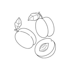 33+ Pure Plum Drawing Ideas for Beginners - Artist Been