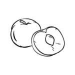 33+ Pure Plum Drawing Ideas for Beginners - Artist Been