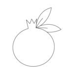 33+ Pure Pomegrante Drawing Ideas for Beginners - Artist Been