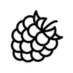 34+ Sour Raspberry Drawing Ideas for Beginners - Artist Been