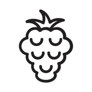 34+ Sour Raspberry Drawing Ideas for Beginners - Artist Been