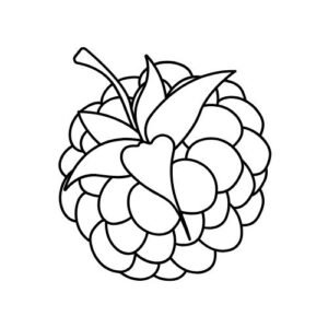 34+ Sour Raspberry Drawing Ideas for Beginners - Artist Been