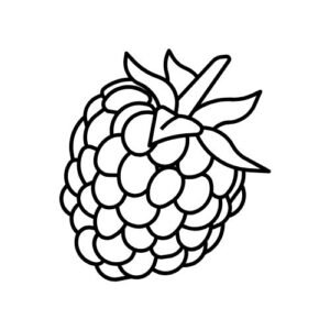 34+ Sour Raspberry Drawing Ideas for Beginners - Artist Been