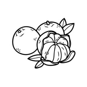 24+ Sour Tangerine Drawing Ideas for Beginners - Artist Been