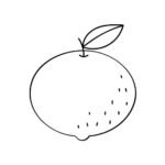 24+ Sour Tangerine Drawing Ideas for Beginners - Artist Been