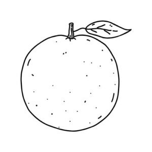 24+ Sour Tangerine Drawing Ideas for Beginners - Artist Been