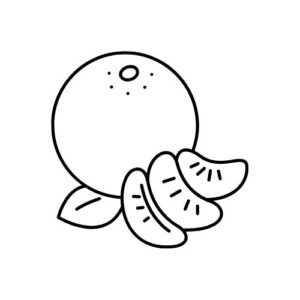 24+ Sour Tangerine Drawing Ideas for Beginners - Artist Been
