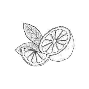 31+ Sour Lemon Drawing Ideas for Beginners - Artist Been