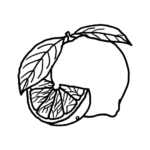 31+ Sour Lemon Drawing Ideas for Beginners - Artist Been