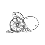 31+ Sour Lemon Drawing Ideas for Beginners - Artist Been