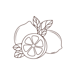 31+ Sour Lemon Drawing Ideas for Beginners - Artist Been