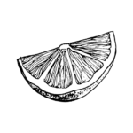 31+ Sour Lemon Drawing Ideas for Beginners - Artist Been