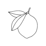 31+ Sour Lemon Drawing Ideas for Beginners - Artist Been