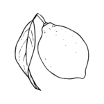 31+ Sour Lemon Drawing Ideas for Beginners - Artist Been
