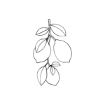 31+ Sour Lemon Drawing Ideas for Beginners - Artist Been