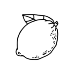 31+ Sour Lemon Drawing Ideas for Beginners - Artist Been