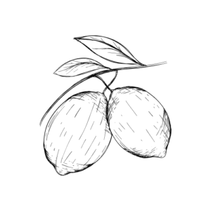 31+ Sour Lemon Drawing Ideas for Beginners - Artist Been