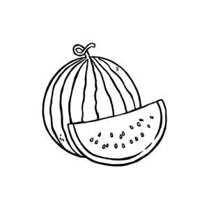 33+ Watery Watermelon Drawing Ideas for Beginners - Artist Been