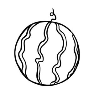33+ Watery Watermelon Drawing Ideas for Beginners - Artist Been