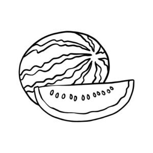 33+ Watery Watermelon Drawing Ideas for Beginners - Artist Been